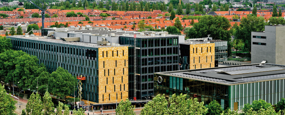 EDGE Stadium - Bosman